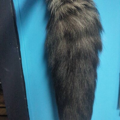 Eco Friendly Blue Fox Tails - Etsy