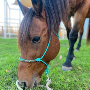 Handbeaded Flat Halter - Etsy