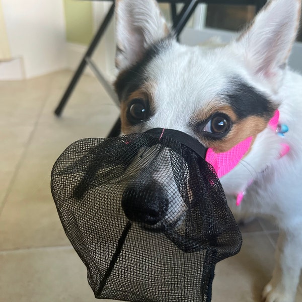 Smuzzle: A Soft Muzzle That Lets Your Dog Smile - Etsy
