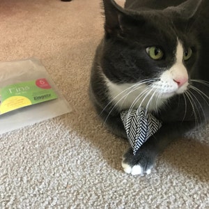 Cat Fin 5 Pack FIVE 5 Cheerful Assorted Cat Pyramid Toys - Etsy