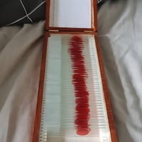 Dexter Blood Slide Box Mahogany - Etsy Australia
