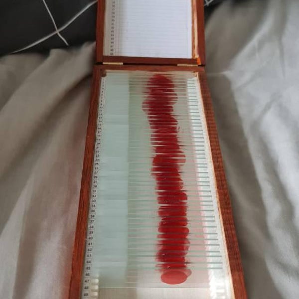 Dexter Blood Slide Box Mahogany - Etsy