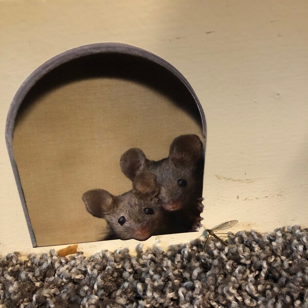 Realistic 3D Mouse Wall Sticker - Etsy