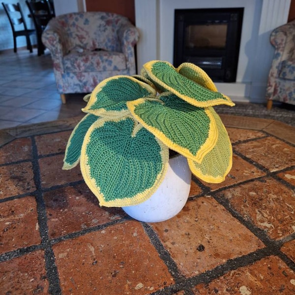 Crochet Hosta Plant Pattern: Photo Tutorial (PDF Pattern) - Etsy