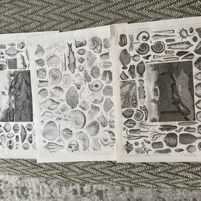 CHINA Old Map of China Original 1902 Antique French Print About Chinese ...