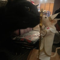 Taxidermy Mouse Pope Francis - Etsy UK