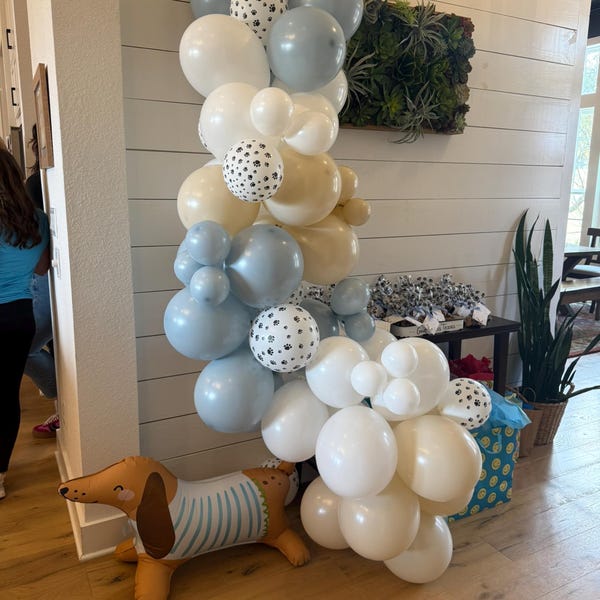 Dachshund Puppy Themed Balloon Arch Kit Dog Theme DIY Balloon Garland ...