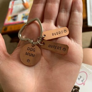 Dog Tag Bunny Chaser Dog Tag Funny Pet Tag Dog ID Tag | Etsy