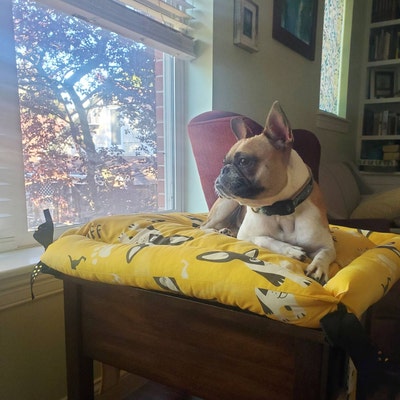 Yellow Frenchies Fabric French Bulldog Dog Woof by Katelein Yellow ...