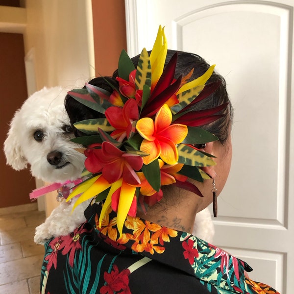 Royal Polynesian Hair Clip Tahitian Headdress Costume for Aparima ...