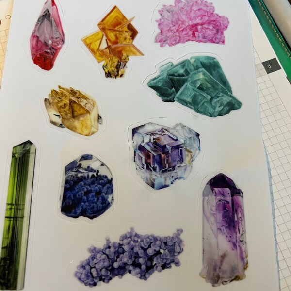 The Forager No. 1- Edible Wild Foods Poster, Foraging Poster, Edible ...