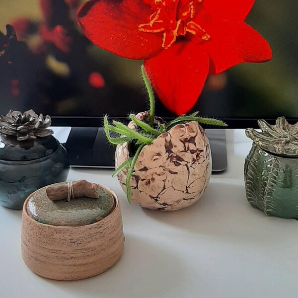 Ceramic Garlic Grater Plate | Hand Made Ginger Grater | Kitchen Dish ...