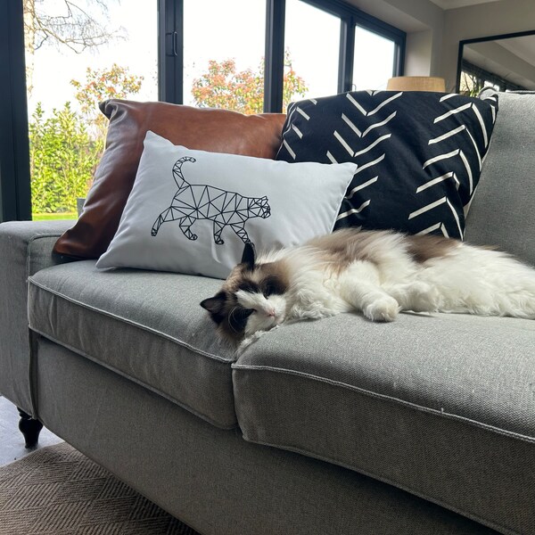 Springbok Mug Springbok Springbok Jersey Springbok Horn Springbok Art ...