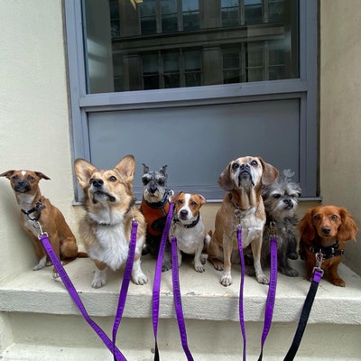 Custom Personalized Embroidered Dog Leash - Etsy