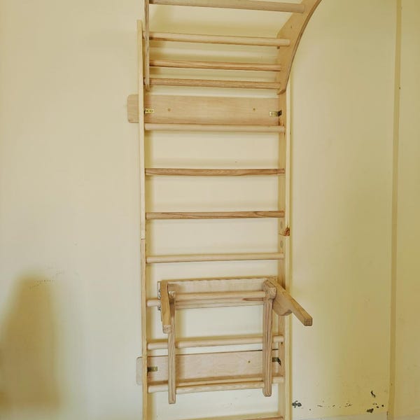 Sport Ladder With Fixed Pull-up Bar and Rope Swing Attachments for Home ...