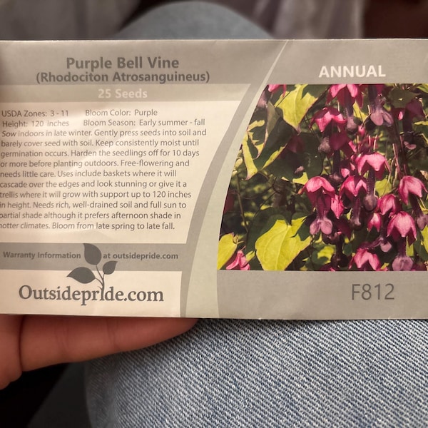 Catmint Nepeta Nervosa Pink Catmint Xeriscape Garden Flower Plant Seed ...