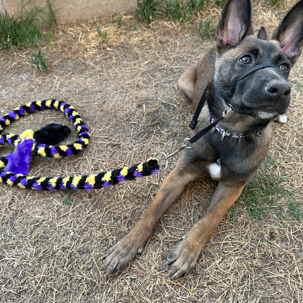 Custom Handmade Fleece and Minky Dog Leash - Etsy