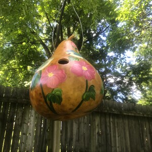 Handpainted Gourd Birdhouse With Hummingbirds and Lilies | Etsy