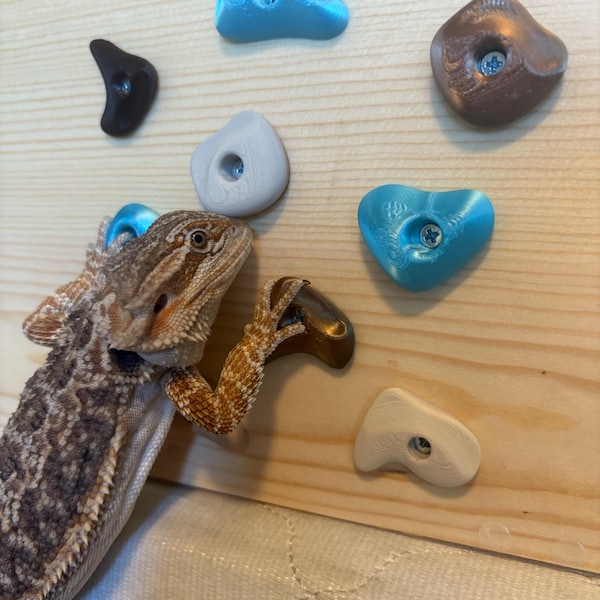 8x8 3D Printed Climbing Wall PANEL for Bearded Dragons & Other Reptiles ...