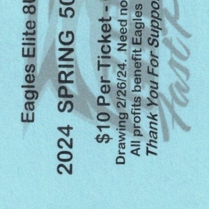 Custom Printed Raffle Tickets for Your Fundraiser Your Choice of Card ...