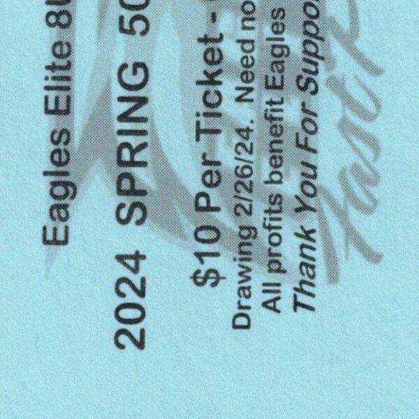 Custom Printed Raffle Tickets for Your Fundraiser! Your Choice of Card ...