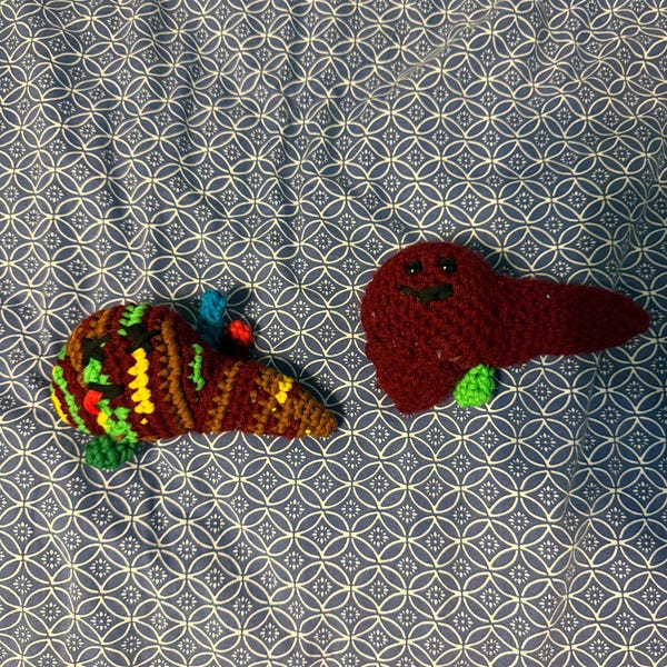 Crocheted Liver Pattern, Crochet Pattern, Liver, Pdf Pattern, Crocheted ...