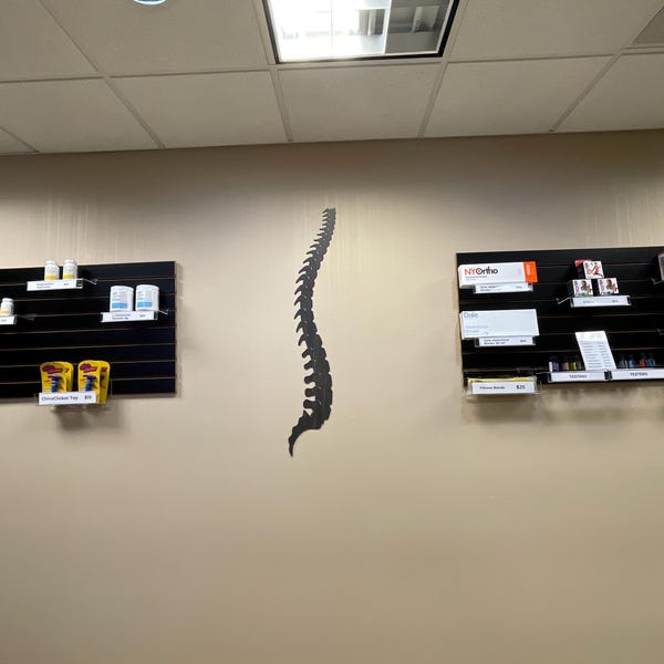 Spine Wall Decor, Spiral Cord Wood Art, Human Spine Office Wall Art ...