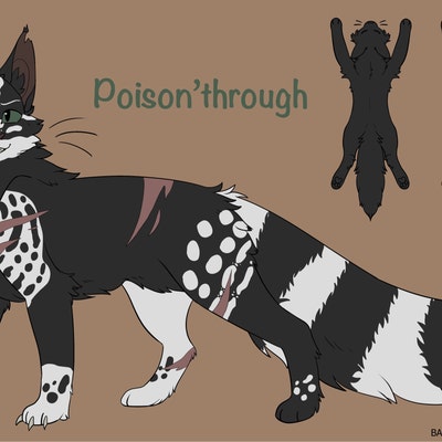 Cat Reference Sheet, Base, Lineart, Warrior Cats, Ocs - Etsy