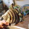 Vintage Seneca Trio Folding Scout 3A Bellows Camera, Antique Film ...