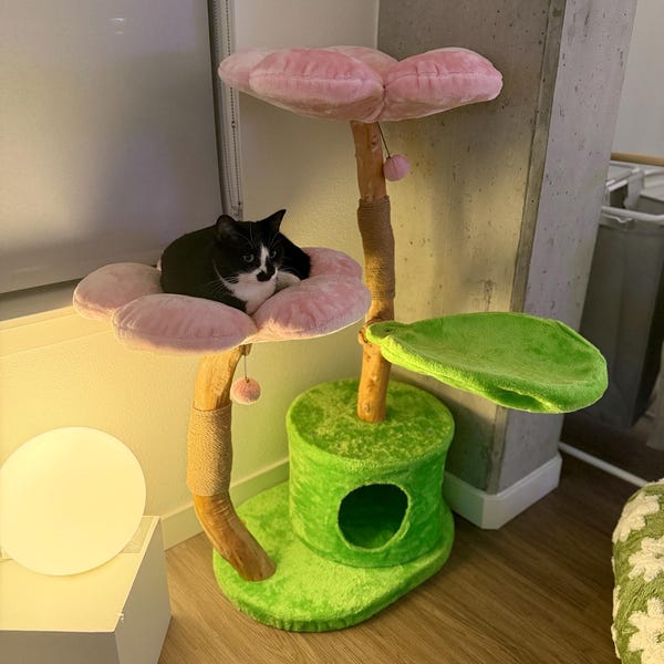 EDEN Wood Floral Cat Tree Tower, Wooden Cat Tower, Modern Cat Climbing ...