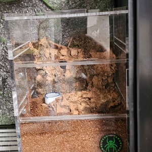 Jumping Spider Coffin Enclosure Free Shipping - Etsy