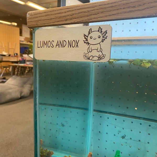 Axolotl Name Sign, Axolotl Tank Decor, Axolotl Tank Accessories ...