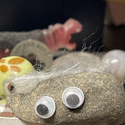 Rock Buddy BOY, Gag Gift, Rock Buddies, Funny Gift, Rock Pet, Anonymous ...