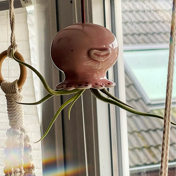 Jellyfish Hanging Planter. A Cute Air Planter Jellyfish Shaped to Hold ...