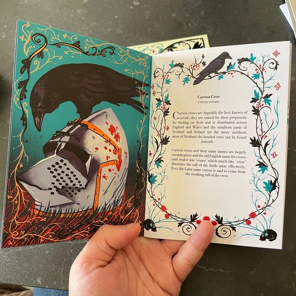 Occult Ornithology Tarot Deck and Guide Majors Only Deck Celebrating ...