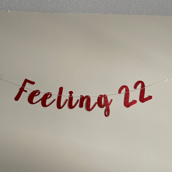 Feeling 22 Banner, 22nd Birthday Banner, 22nd Birthday Party ...