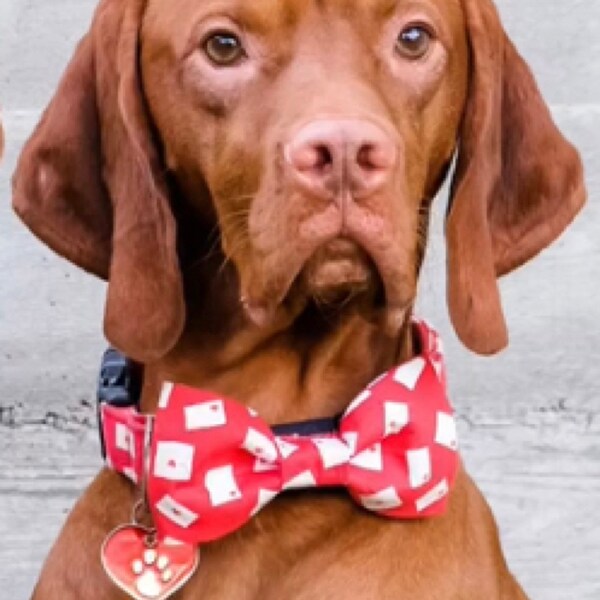 Red and Silver Heart Pet ID Dog Tag - Etsy