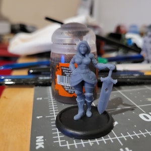 Nendra Preistess of Eilistraee Fantasy Resin Miniature - Etsy