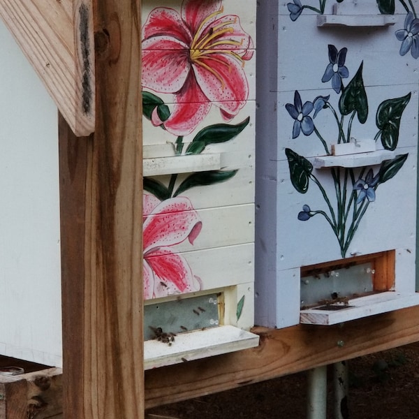 Beekeeping National Slovenian AZ Beehive 30-frames, 3 Story With 2 ...