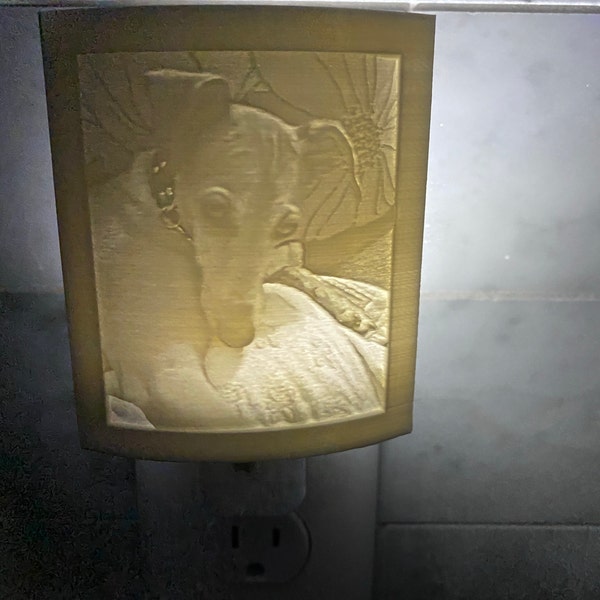 3D Printed Pet Photo LED Night Light, Personalized Pet Sympathy Gift ...