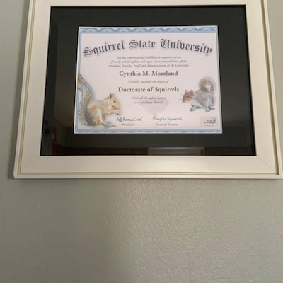 Personalized Squirrel University Certificate Digital or Printed Custom ...