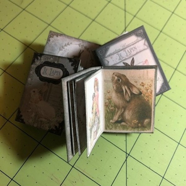 Mini Book, French Rabbit, Junk Journal, Craft Kit, Little, Girl, Baby ...