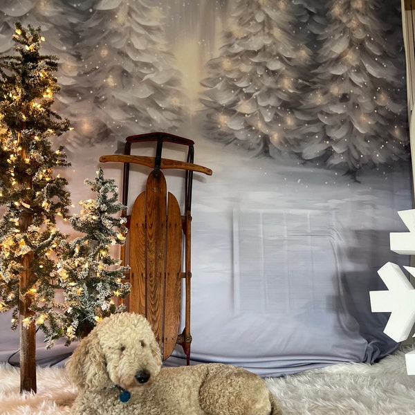 Winter Wonderland Backdrop Photography, Winter Forest Backdrop, Winter ...