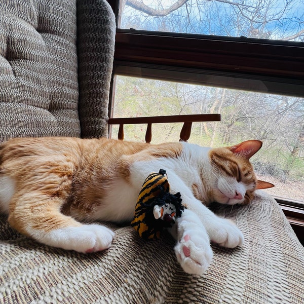 Orange Cloop Clown Clip - Etsy