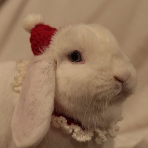 Christmas Rabbit Sweater Bunny Outfit Pet Clothing Bunny - Etsy