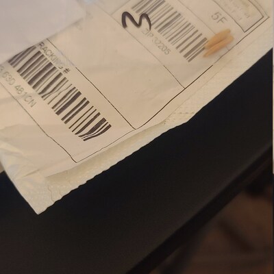 Prairie Smoke 40 Seeds Erythrocoma Triflora Seed Geum - Etsy