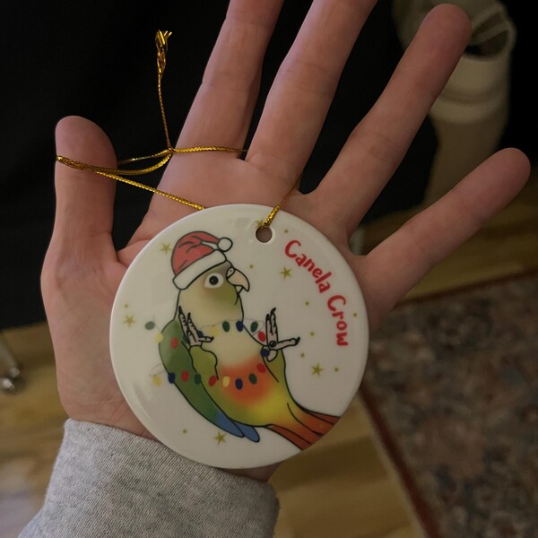 The Caiques Hoodie, Funny Parody Hoodie, Birb Memes Apparel, Parrot ...