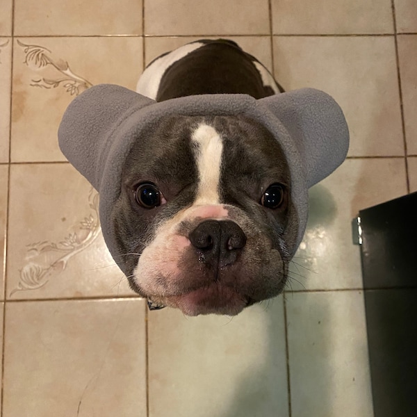 Frenchiestore Organic Dog Frenchie Ear Warmers | Blue Frenchie (grey ...