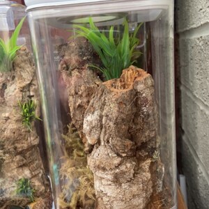 Large Ant Tower Double Decker Style - Etsy