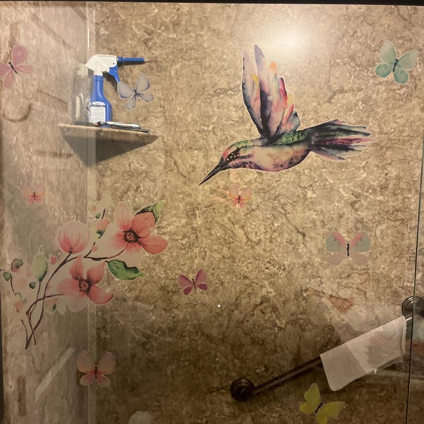 Spring Bird Window Stickers Bird Window Decoration Spring Window